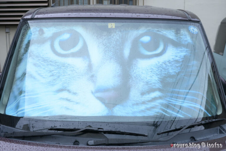 Z30で毎日写真を撮る縛りスタート!!! 一日一撮・博多うろうろSNAP[2022年11月] | urouro.blog