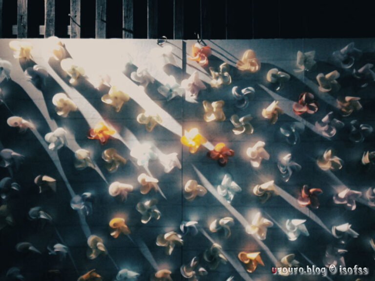 むしろエモしか撮れないPaper Shoot Camera。博多うろうろSNAP [2023年9月] | urouro.blog