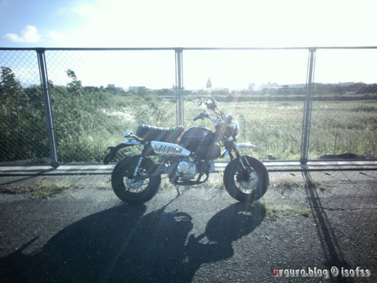 むしろエモしか撮れないPaper Shoot Camera。博多うろうろSNAP [2023年9月] | urouro.blog